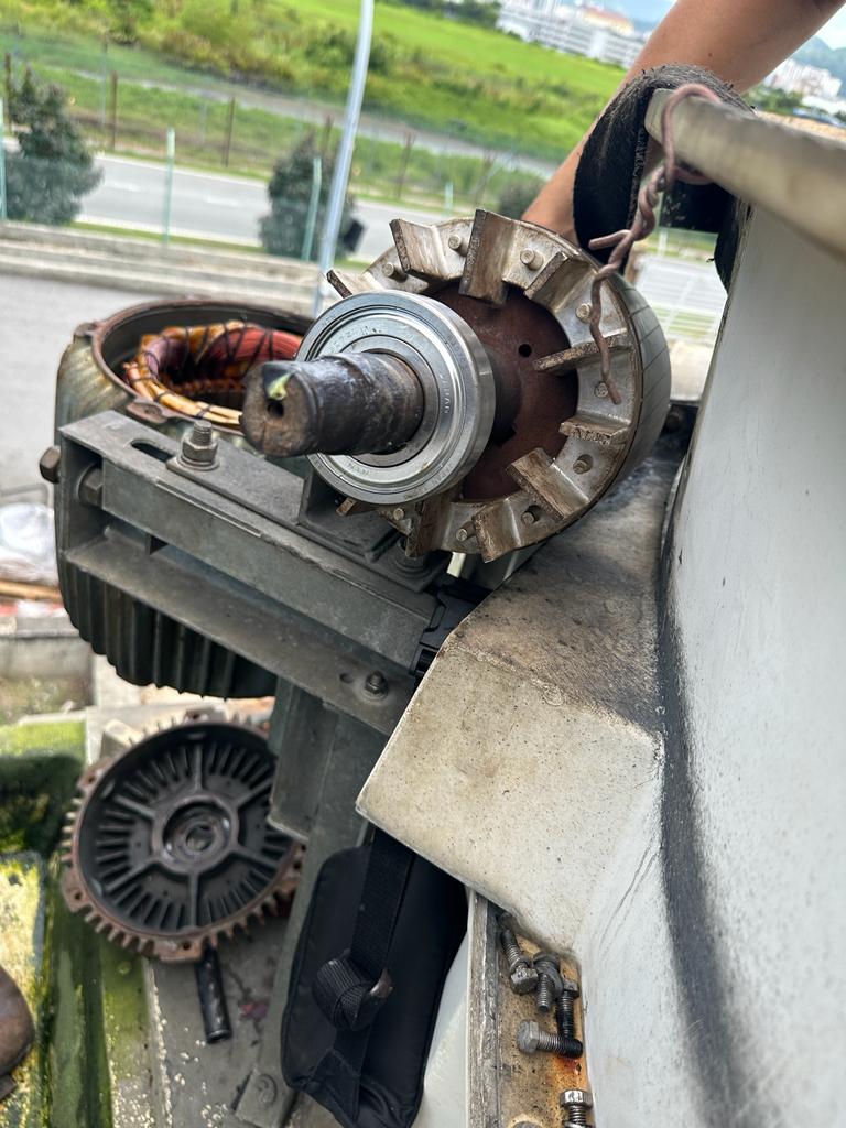 Project – TLY Group